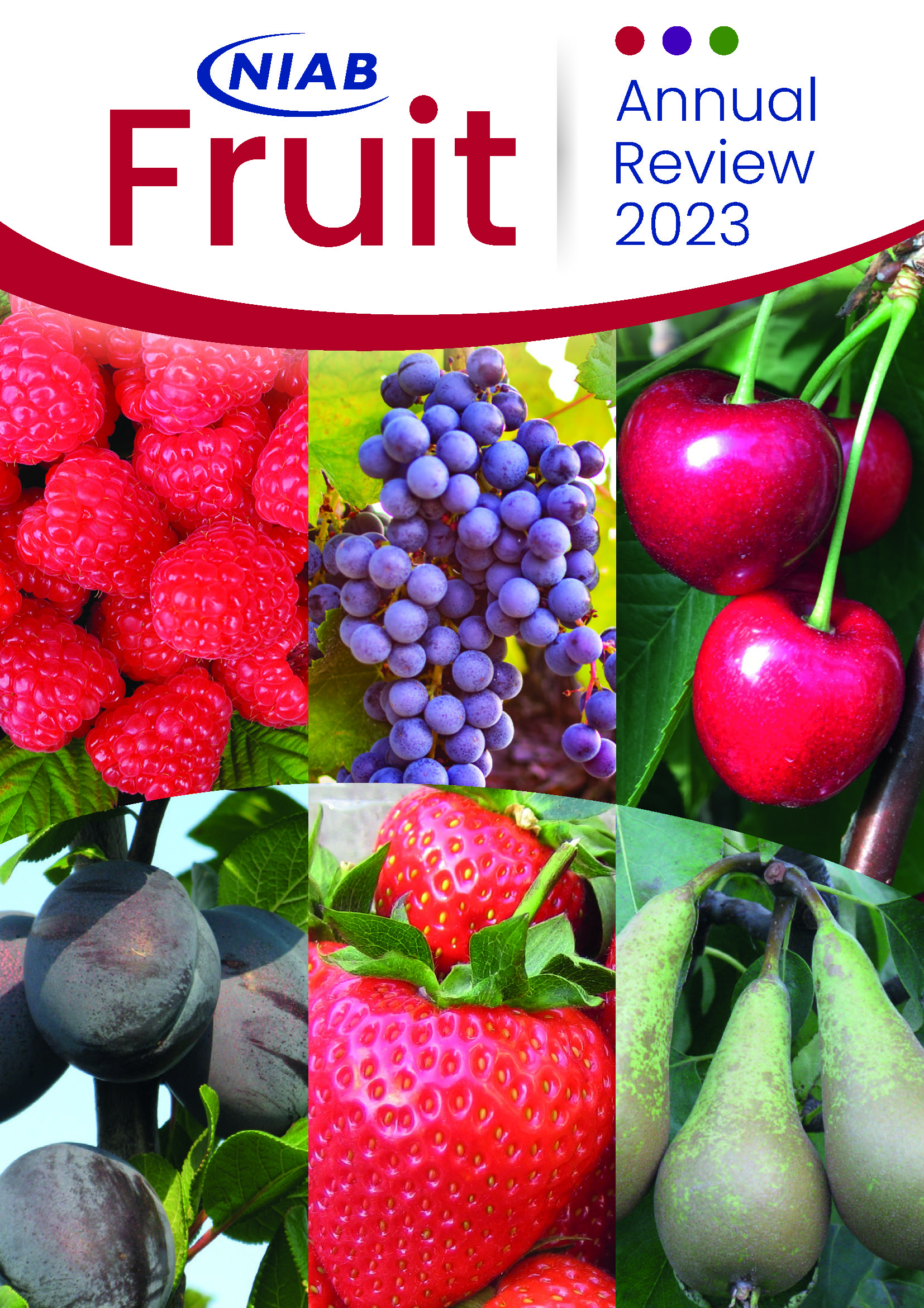 Niab Fruit Annual Review 2023 | NIAB